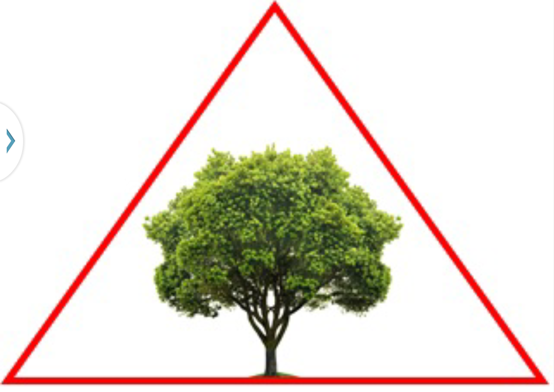 TRIANGLE TREE SERVICE & LANDSCAPING INC Reviews - Pinellas Park, FL ...